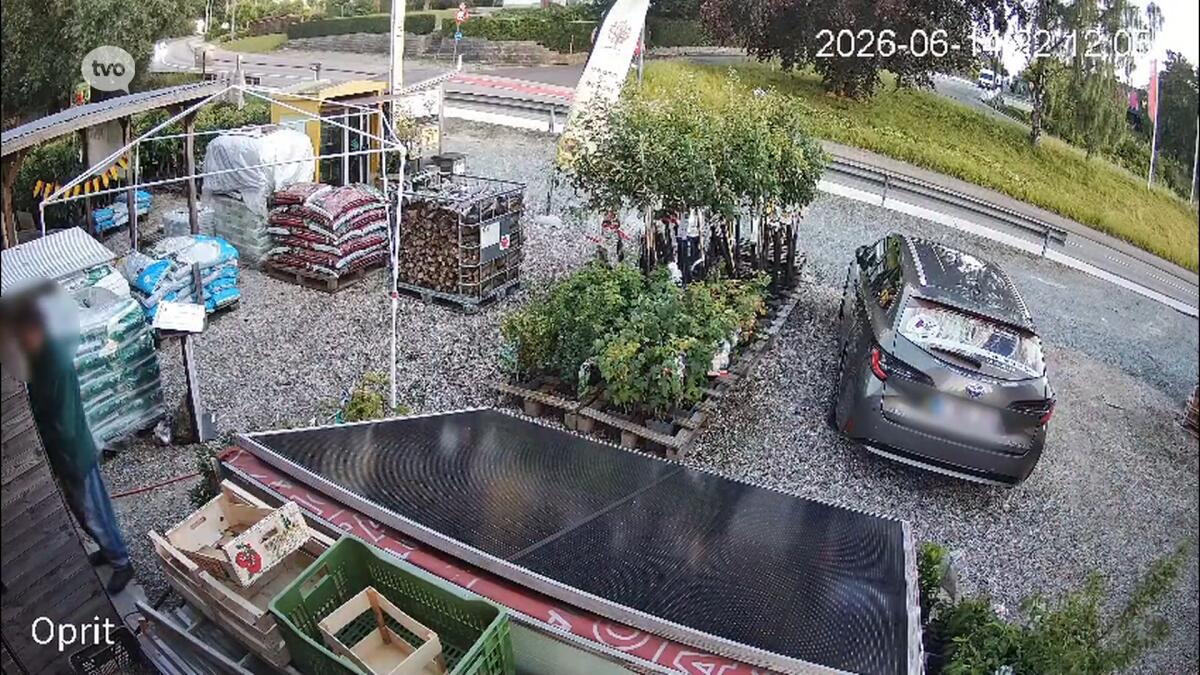 Fruitboer uit Geraardsbergen kist dief na bekijken van camerabeelden ...